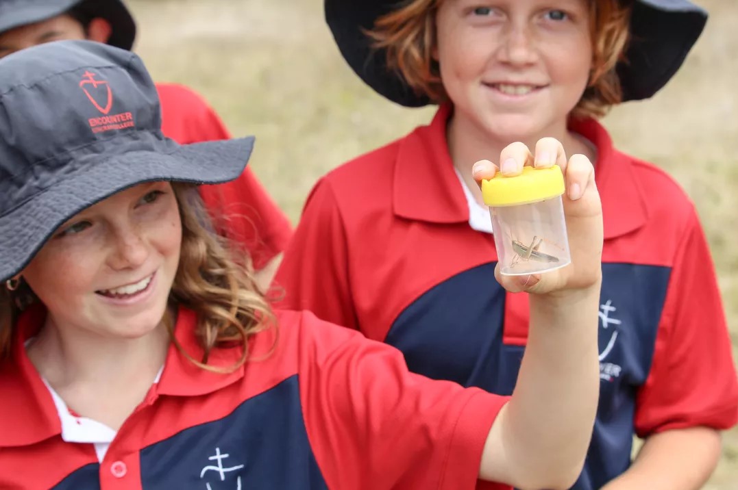 Regional school students buzzing over citizen science project results ... Regional school students buzzing over citizen science project results ...